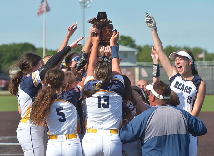 St. Joseph defeats Lakeshore to win district softball title | Sports ...