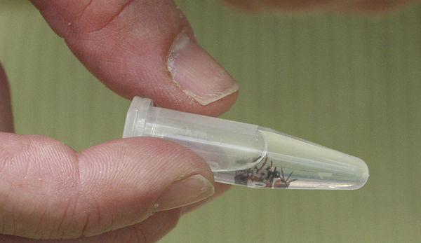 Nervous ticks | Local News | heraldpalladium.com