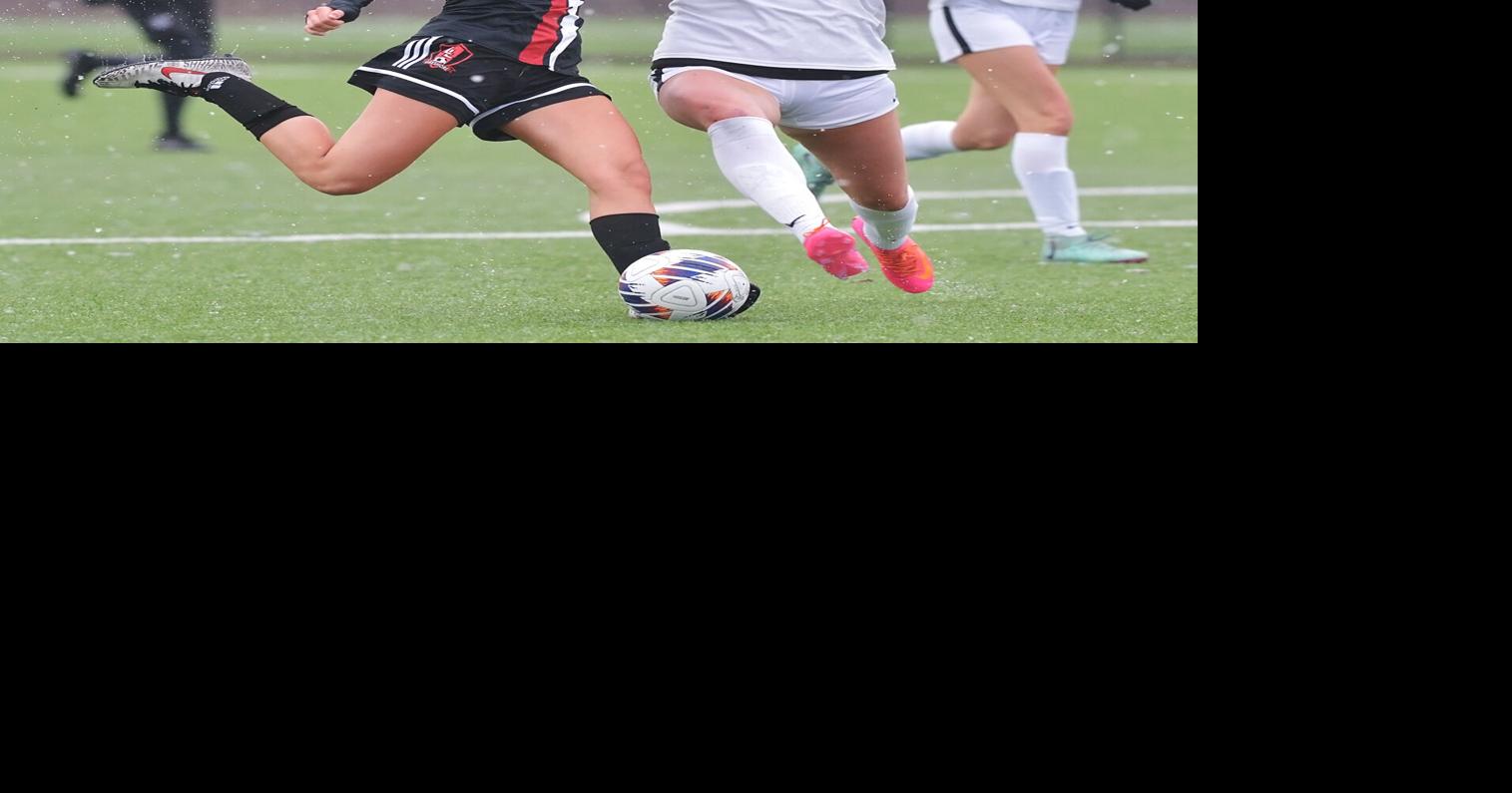 Lakeshore tops Kalamazoo Central in cold SMAC girls soccer opener ...