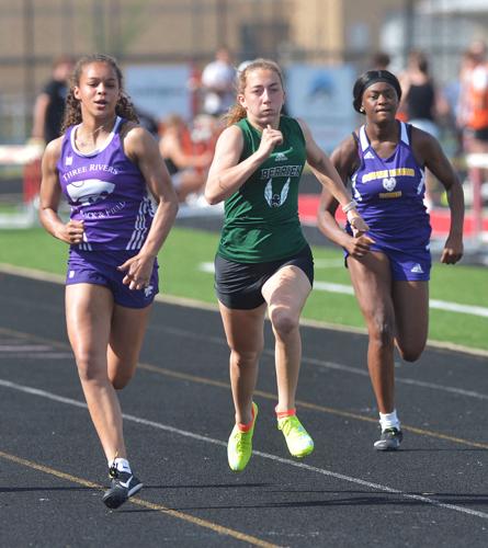Berrien Springs boys take 2nd in track regional | Sports ...
