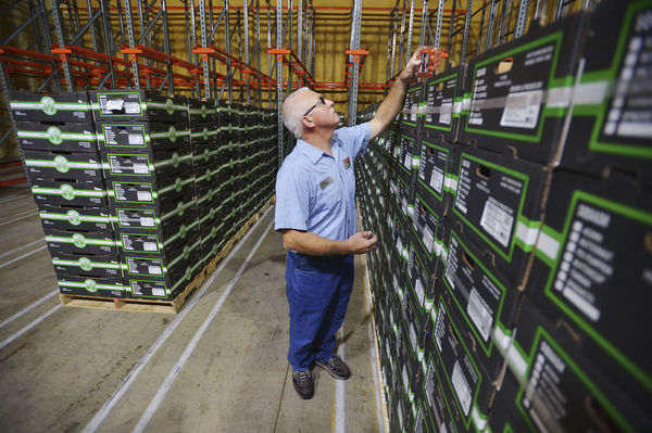 Moves pondered for farm worker shortage | Local News | heraldpalladium.com