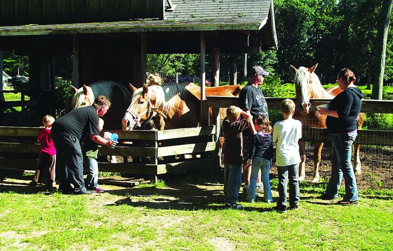 Deer Forest days numbered in Coloma Twp. | Local News | heraldpalladium.com