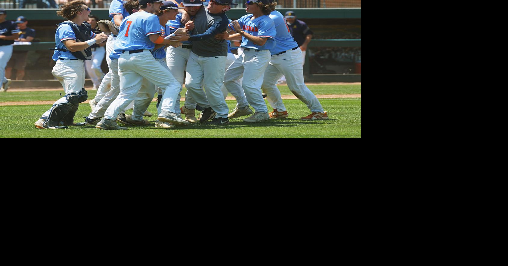 Bridgman stuns top-ranked Algonac to win Division 3 state baseball ...