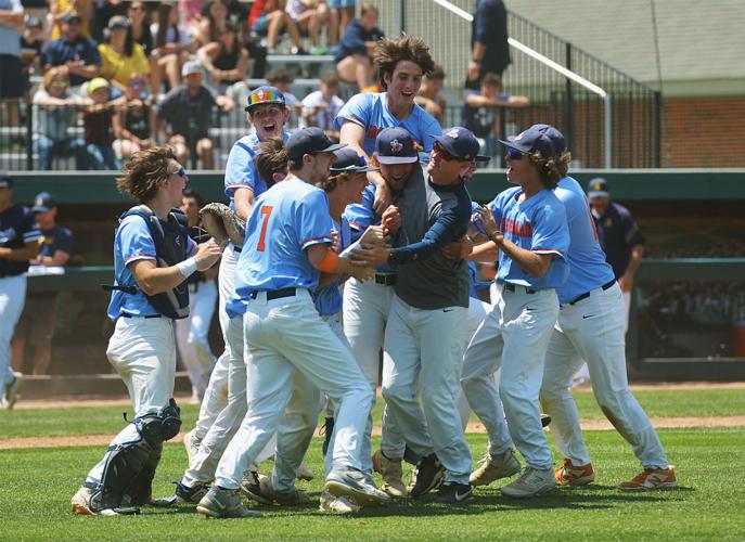 Bridgman stuns top-ranked Algonac to win Division 3 state baseball ...