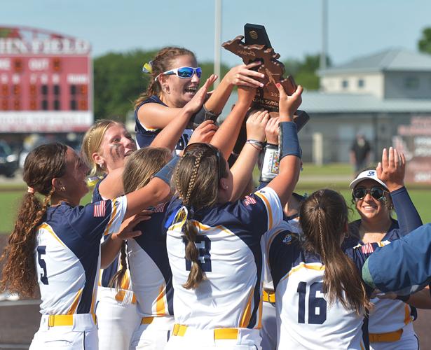 St. Joseph defeats Lakeshore to win district softball title | Sports ...