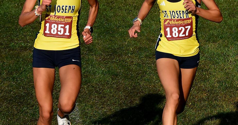 St. Joseph girls, Buchanan boys win Berrien County cross country meet ...