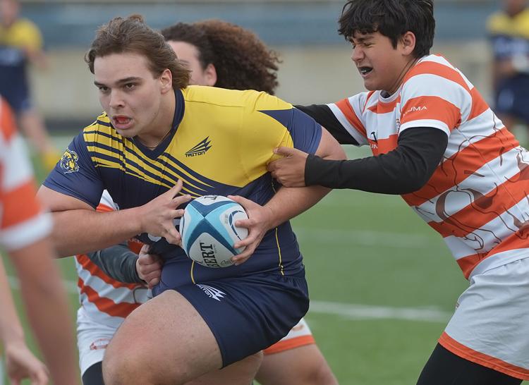 Local | heraldpalladium.com