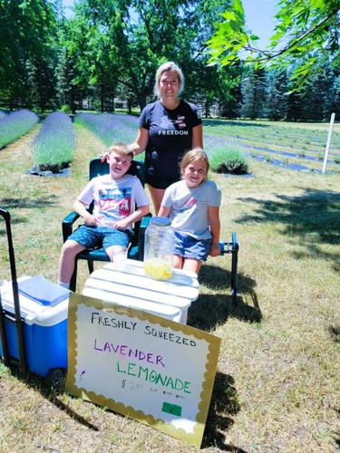 Taking in the aroma at Hickory Creek Lavender Farm | Features ...