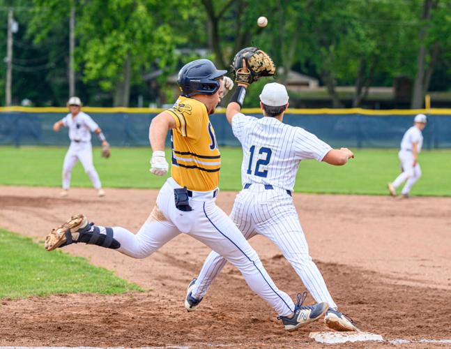 Niles tops St. Joseph for D2 baseball district championship | Sports ...