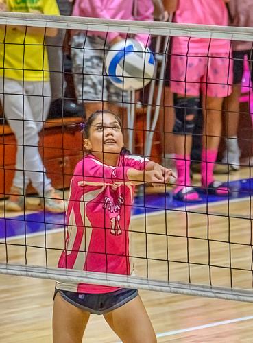 Our Lady of the Lake defeats Michigan Lutheran in Dig Pink volleyball ...
