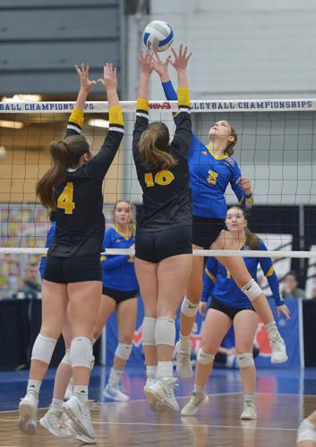 Our Lady of the Lake defeated by Clarkston Everest in Div. 4 state ...