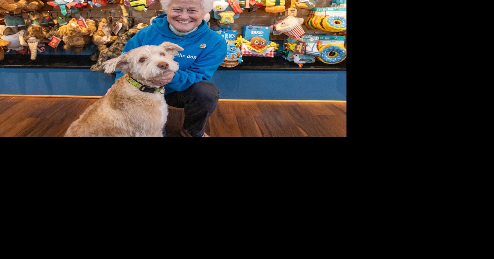 Decadent Dogs owner reflects on passion, pups and community | South ...