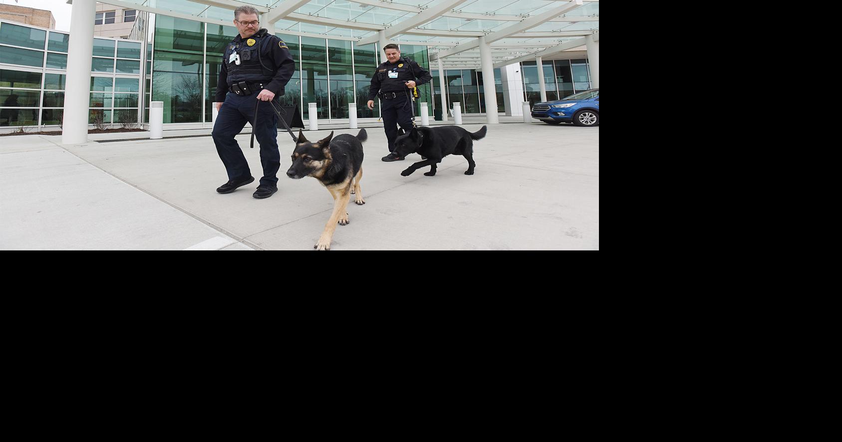 Corewell Health security dogs stay on guard for explosives detection ...