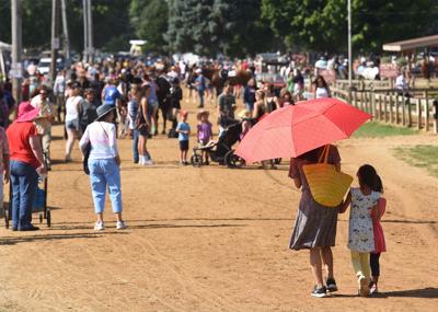 Berrien County Youth Fair attendee tests positive for swine flu ...