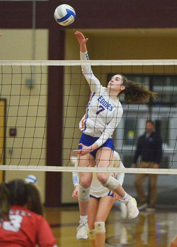 Lakeshore falls to Edwardsburg in D2 volleyball regional semifinal ...
