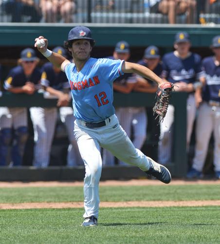 Bridgman stuns top-ranked Algonac to win Division 3 state baseball ...