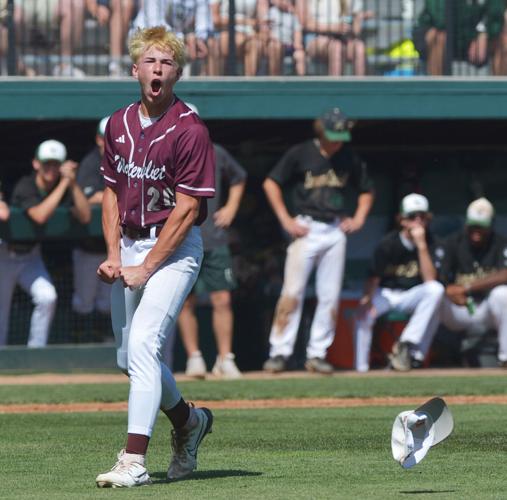 Watervliet rolls past Jackson Lumen Christi for first baseball state ...