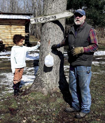 Maple syrup magic kicks off at Covenant Farm | News | heraldpalladium.com