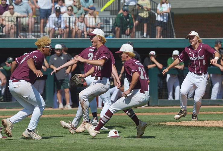 Watervliet rolls past Jackson Lumen Christi for first baseball state ...