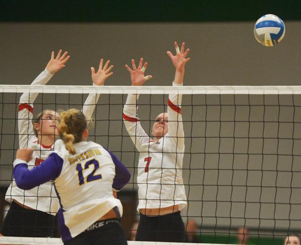 Lakeshore beats South Haven to win Div. 2 volleyball district title ...
