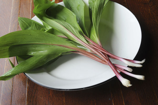 The latest trendy food: Ramps | Features | heraldpalladium.com