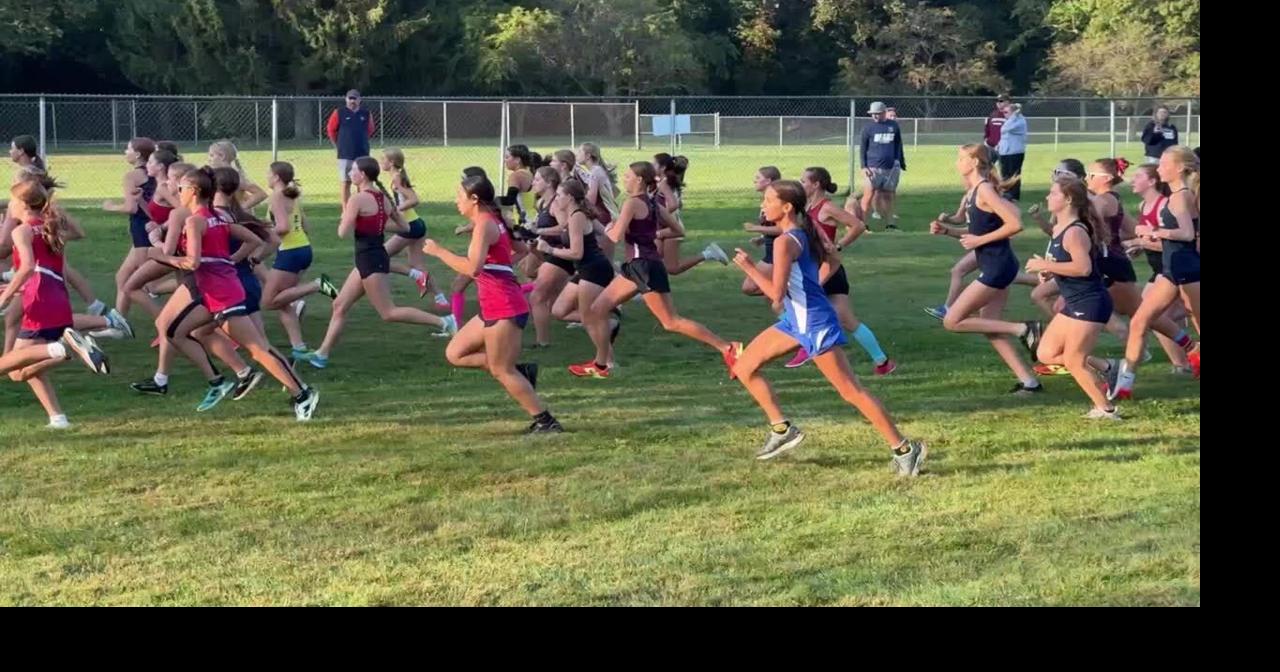Berrien County Cross Country Meet | | heraldpalladium.com