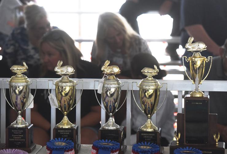 Berrien County Youth Fair to showcase over 400 rabbits this week ...
