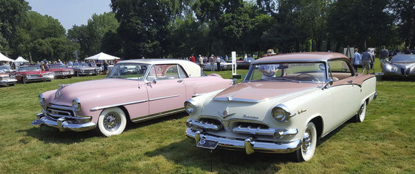 Celebrating Father's Day: Dar style | Local News | heraldpalladium.com