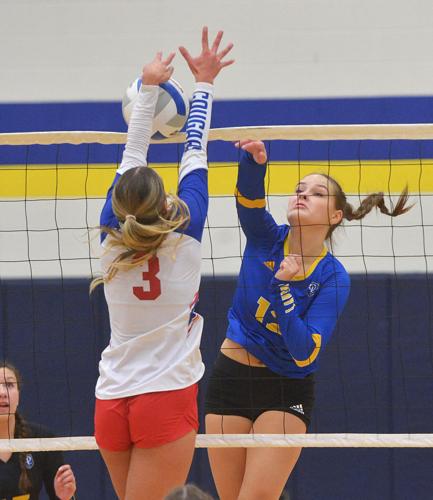 Our Lady of the Lake falls to Lenawee Christian in state quarterfinal ...