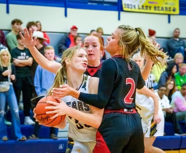 Vroon gives Lakeshore lift in victory over St. Joseph | Sports ...