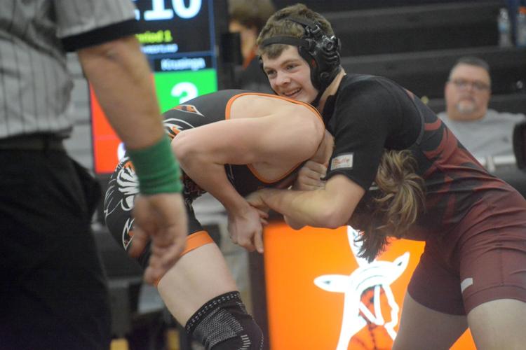 Buchanan falls to Allegan in D3 regional finals | Sports ...