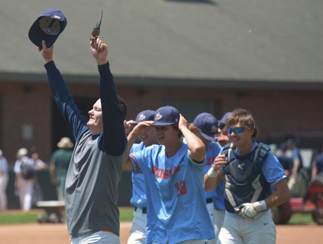 Bridgman stuns top-ranked Algonac to win Division 3 state baseball ...