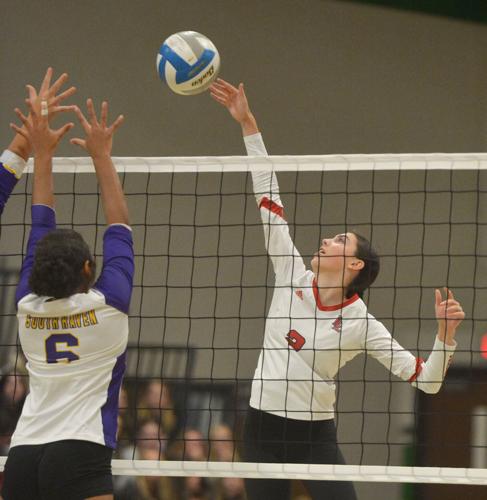 Lakeshore beats South Haven to win Div. 2 volleyball district title ...