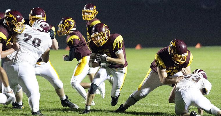 Southwest Michigan's shining stars setting a bright light for the ...