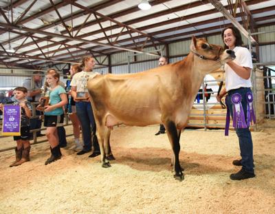 Berrien County Youth Fair sets large animal registration deadline ...