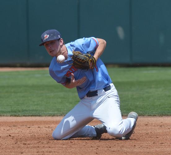 Bridgman stuns top-ranked Algonac to win Division 3 state baseball ...