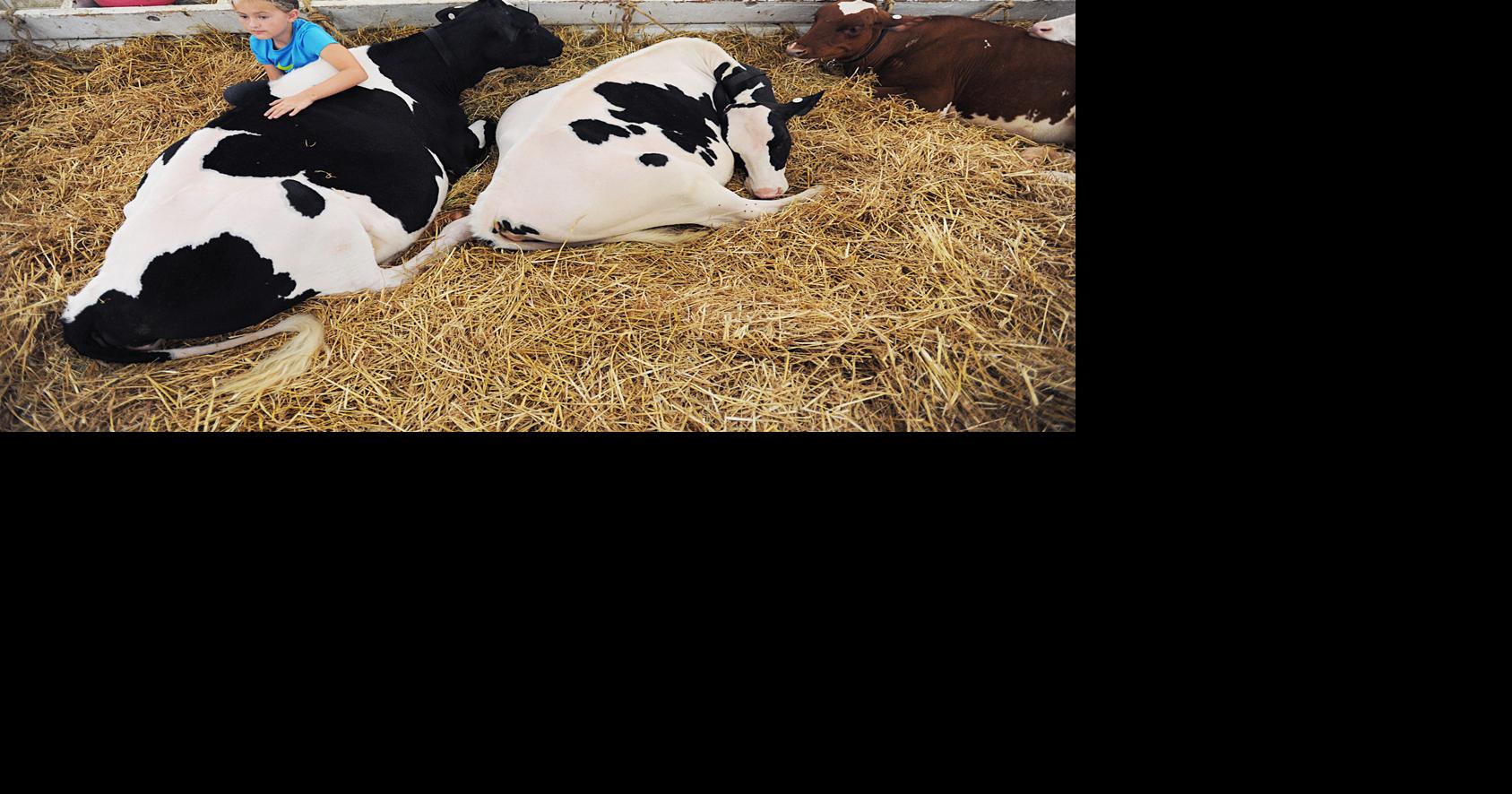 Berrien County Youth Fair officials taking ‘day-by-day’ approach with ...