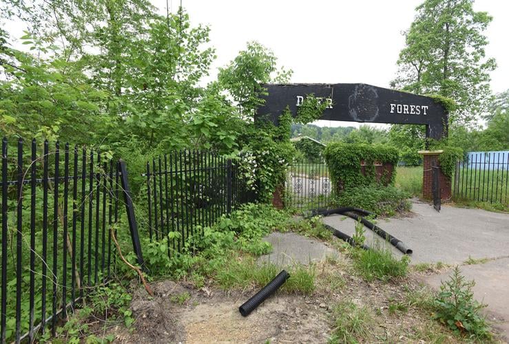 Deer Forest owners consider long-term rentals for property | Coloma ...