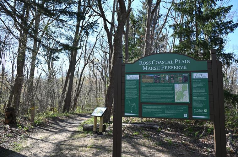 Ross Preserve is a hidden gem in coastal Covert | Local ...