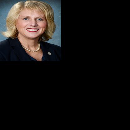 Kim LaSata to seek reelection but won't run against Nesbitt | Coloma ...