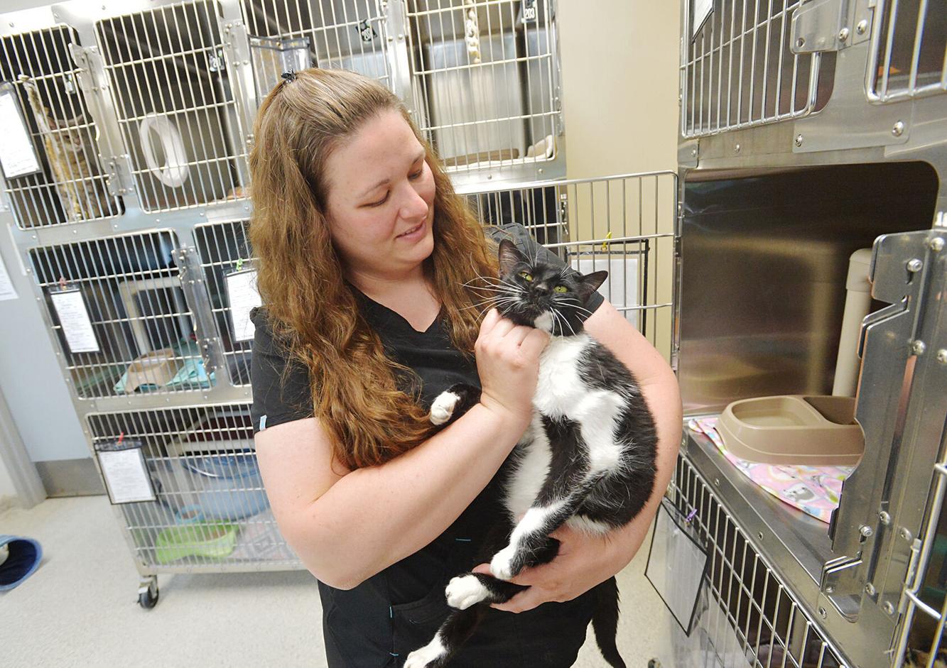 Herr finds her calling as Berrien County shelter manager | Benton ...
