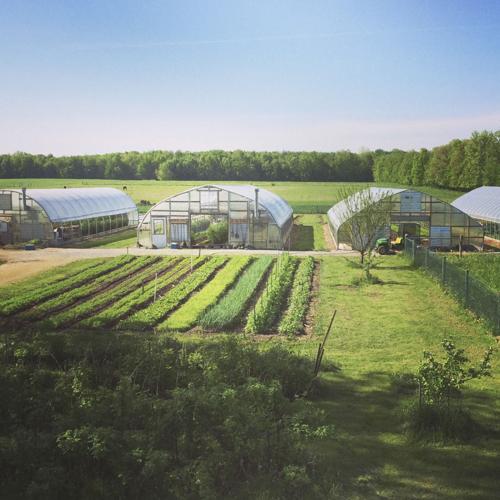 'The Lean Farm' | Features | heraldpalladium.com