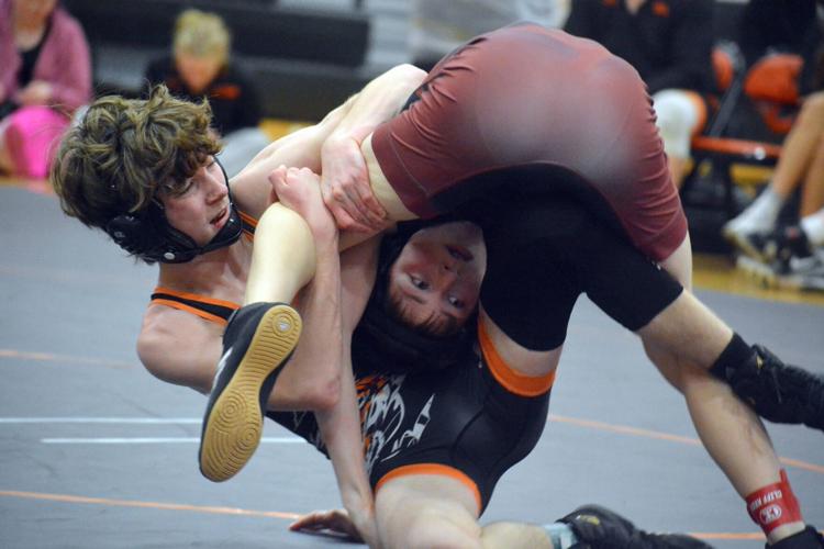 Buchanan falls to Allegan in D3 regional finals | Sports ...