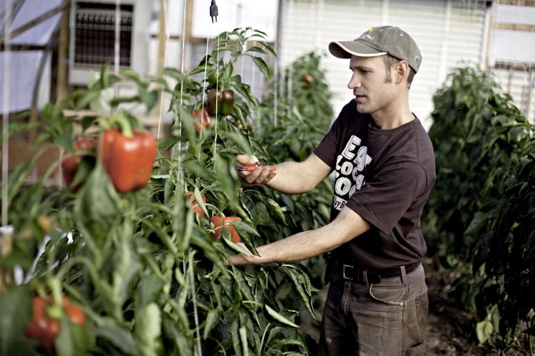 'The Lean Farm' | Features | heraldpalladium.com