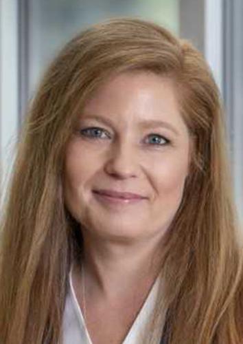 Hanson Mold names LaVanway as new president | St Joseph ...