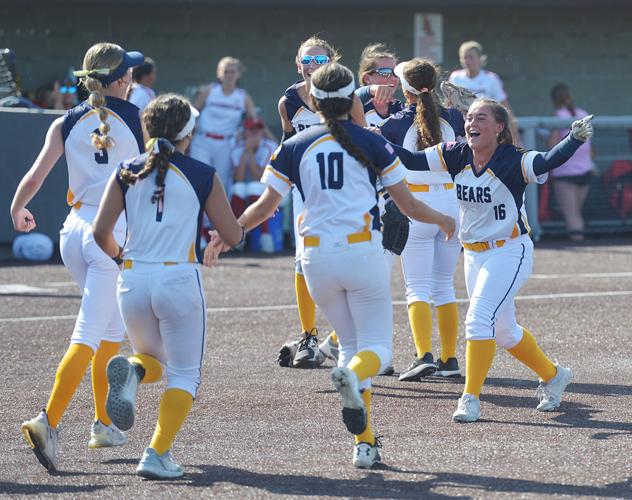 St. Joseph defeats Lakeshore to win district softball title | Sports ...