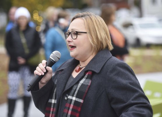 Krasl project comes full circle | Local News | heraldpalladium.com