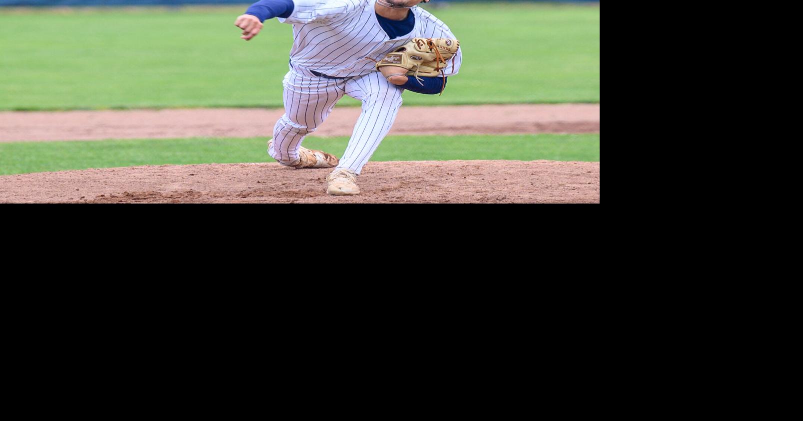 Niles tops St. Joseph for D2 baseball district championship | Sports ...