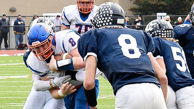 Eddies dominate Division 4 All-Region squad | Sports | heraldpalladium.com
