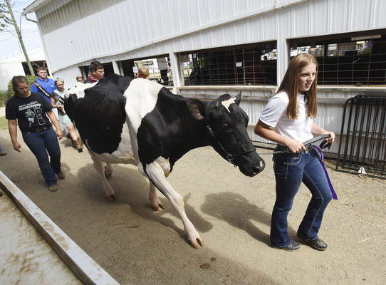 Such sweet sorrow | Local News | heraldpalladium.com